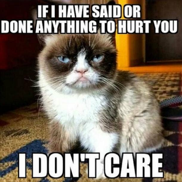 21 Best Grumpy Cat Memes And Funny Quotes About Love And Life Yourtango